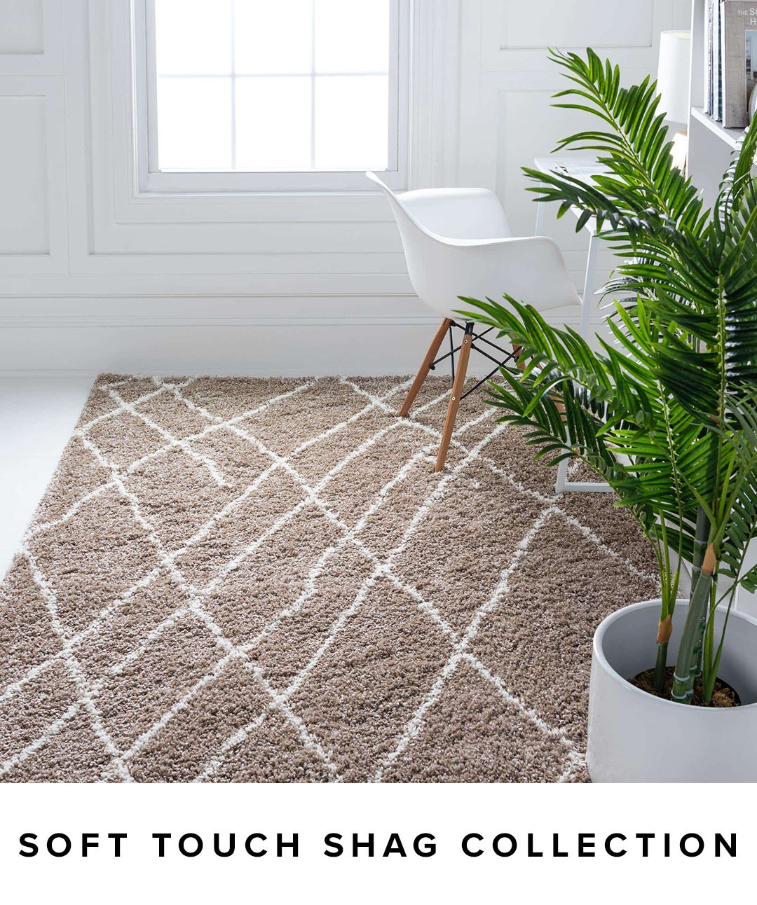 Fall Favorites | Rugs.com