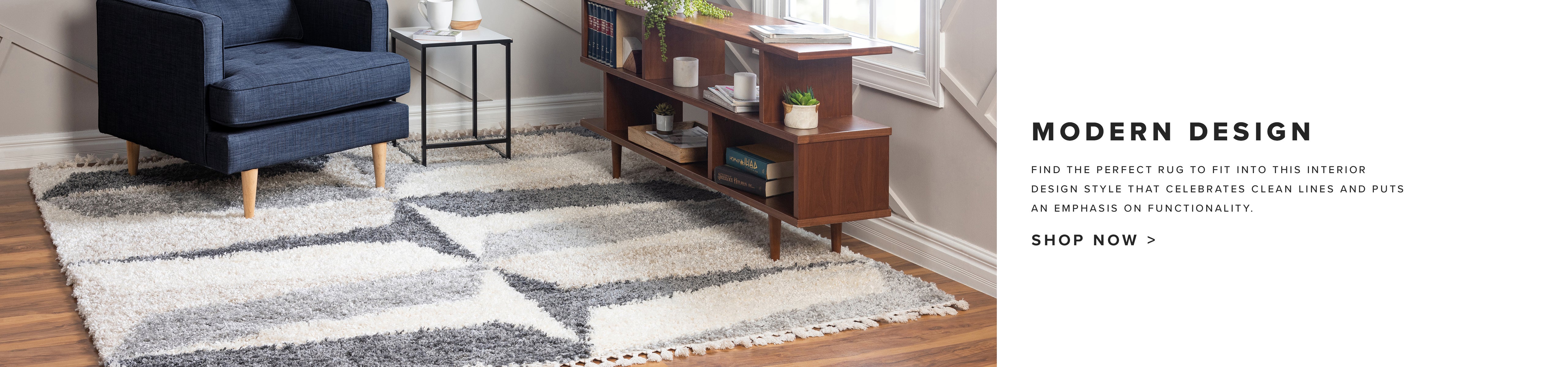 Modern Rugs | Rugs.com