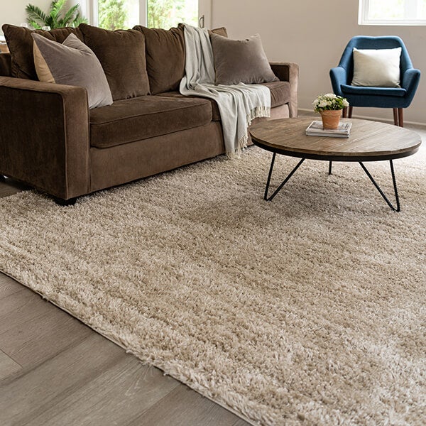 Black Friday Sale | Rugs.com